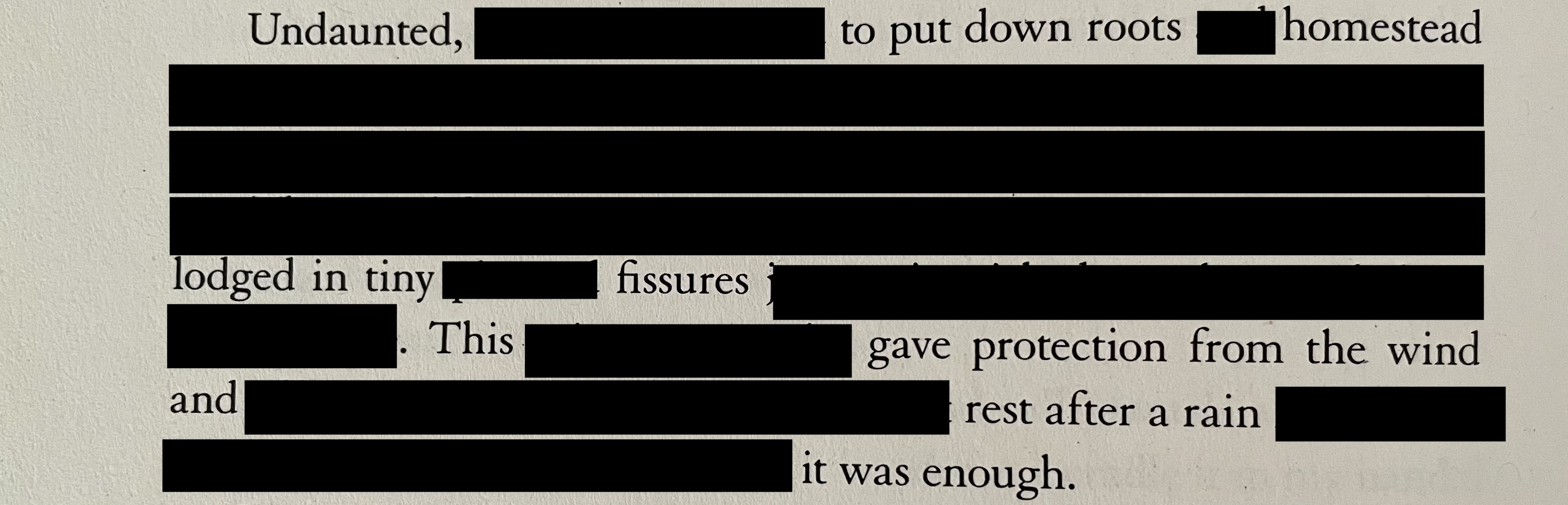 roots – Moist Poetry Journal