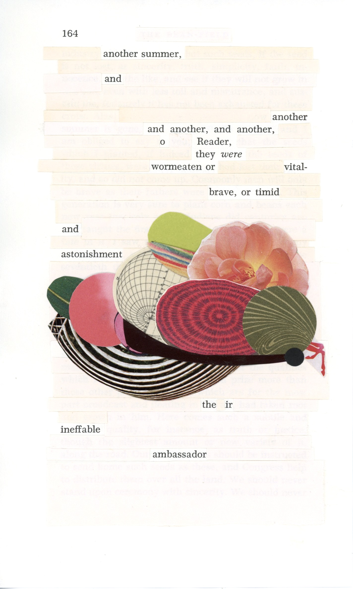 Moist Poetry Journal – a high humidity journal of poetry